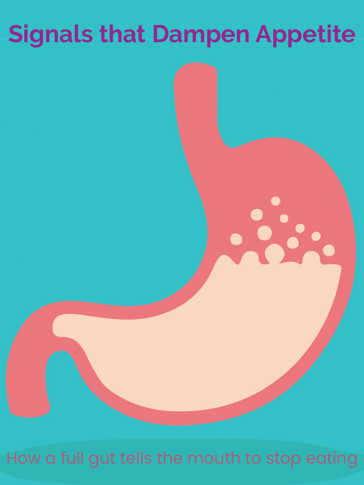 Signals That Dampen Appetite